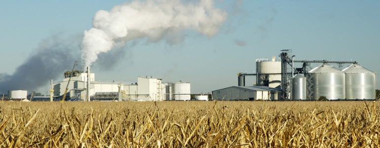 Fact check: The RFS is a “mandate” and it’s due for change | American ...